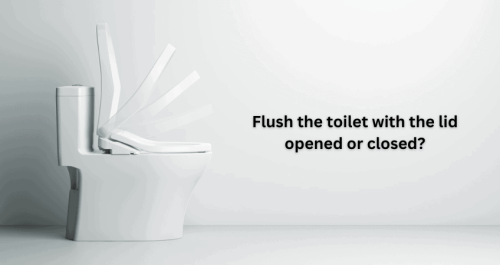 Which is better: Flushing the toilet with the lid opened or closed? - W ...
